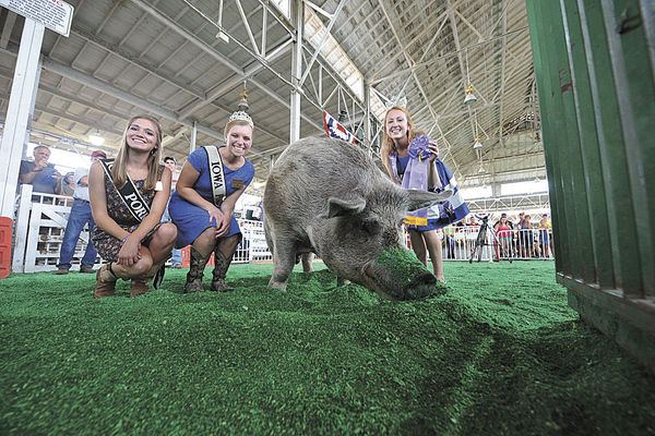 Local royalty at Iowa State Fair | News, Sports, Jobs - North Tama ...